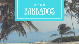 Driving in Barbados - Here's What You Need To Know - Solemate Adventures
