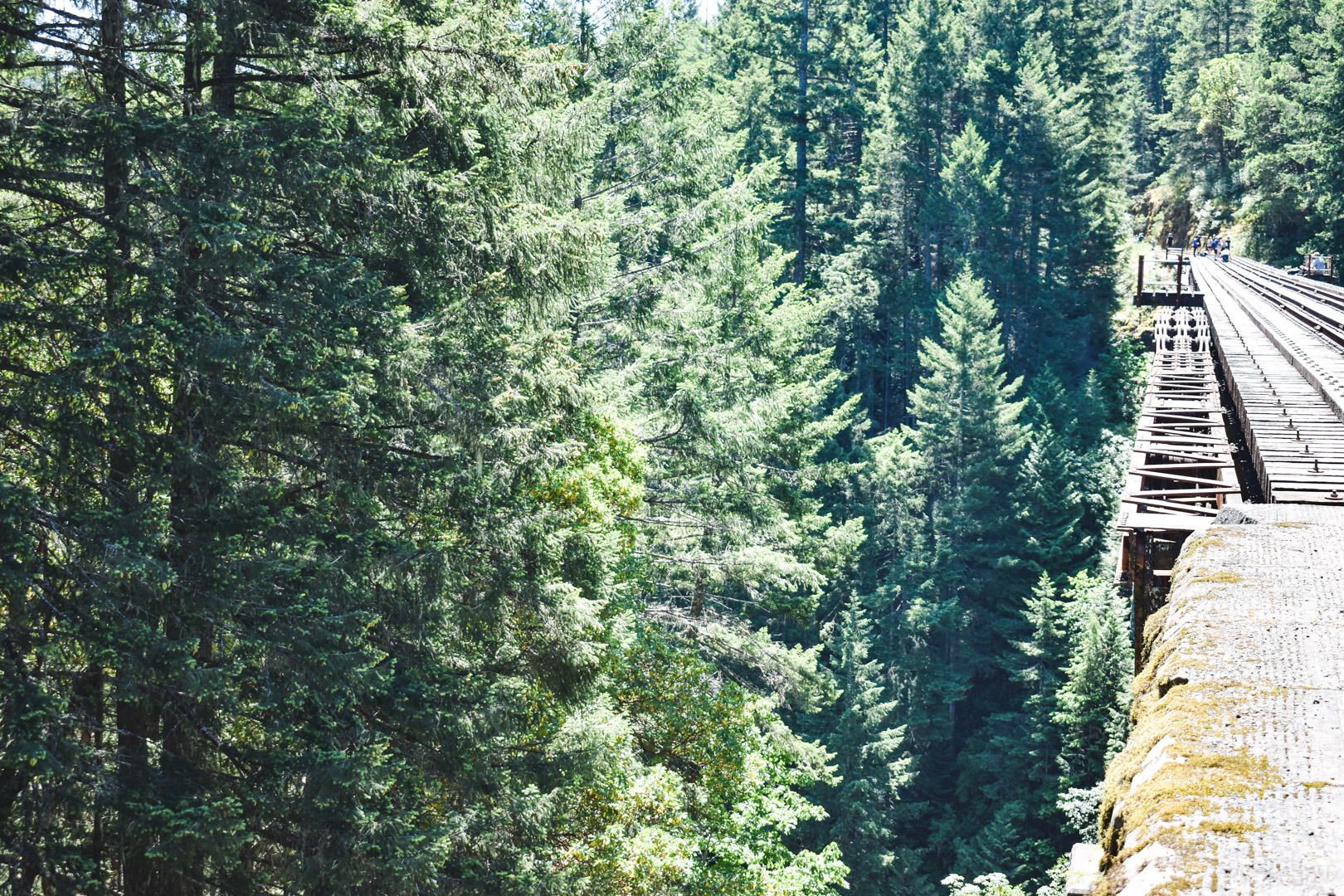 How to Hike Goldstream Trestle on Vancouver Island - Solemate Adventures