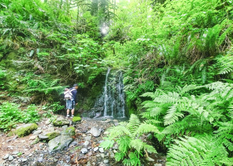 11 Victoria, BC Waterfalls You Can't Miss - Solemate Adventures