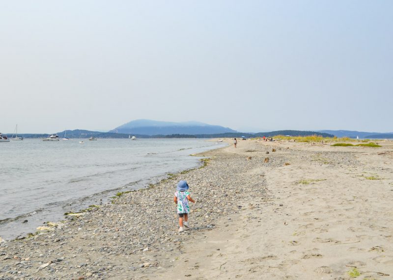 Visiting Sidney Spit - All You Need to Know - Solemate Adventures