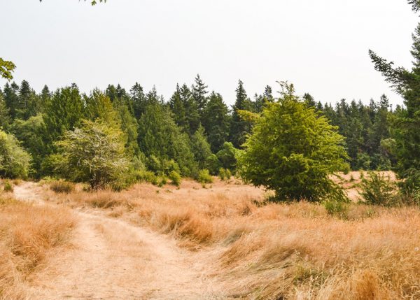 Visiting Sidney Spit - All You Need to Know - Solemate Adventures