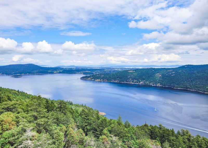 Malahat SkyWalk Visitor's Guide - Solemate Adventures