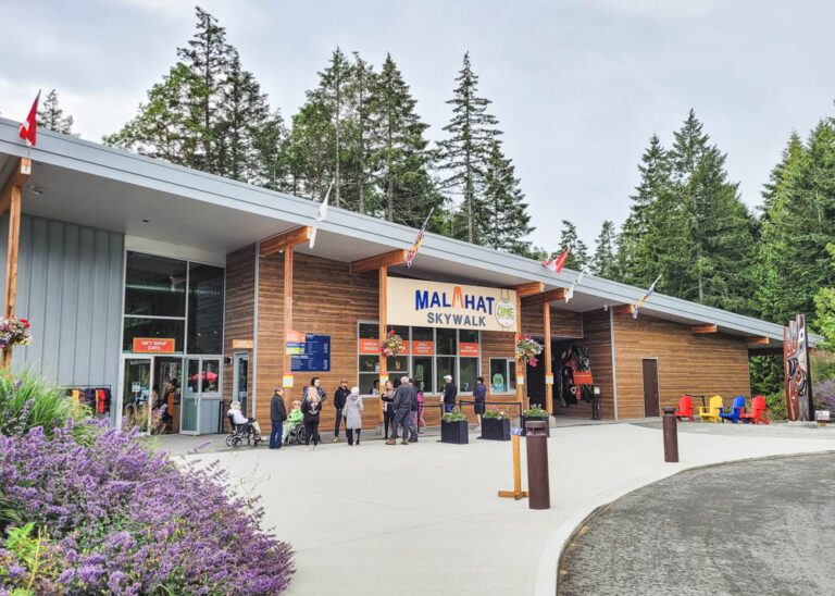 Malahat SkyWalk Visitor's Guide - Solemate Adventures