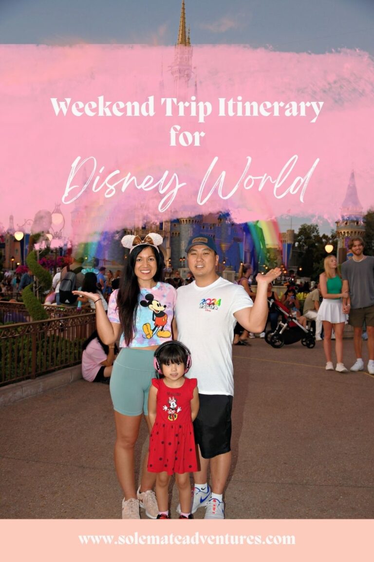 Weekend Disney World Trip Itinerary - Maximize your time and budget ...