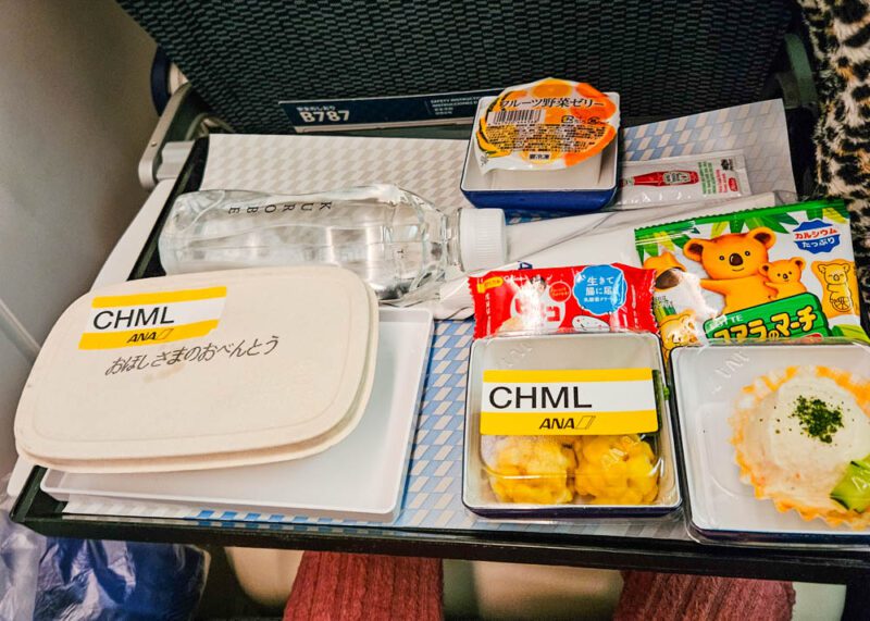 Review: Flying on the ANA Pikachu Jet! Tokyo Haneda to Vancouver ...