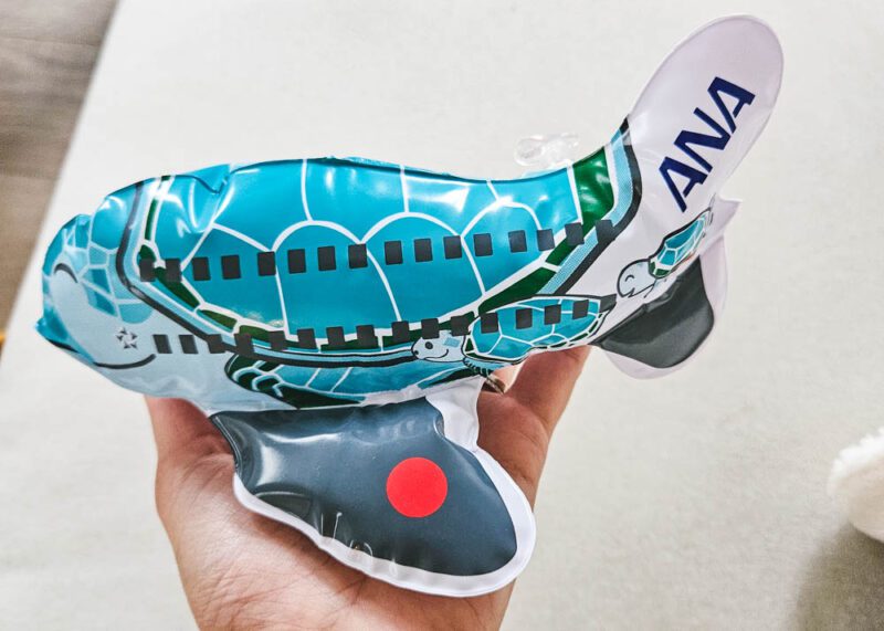 Review: Flying on the ANA Pikachu Jet! Tokyo Haneda to Vancouver ...